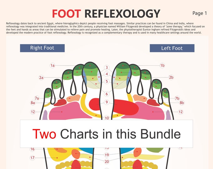 Teeth Reflexology Guide, Photographic Paper Print, 3 Sizes - Etsy