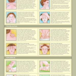 Essential Oils Reference Chart Bundle: Aromatherapy Guide (digital ...