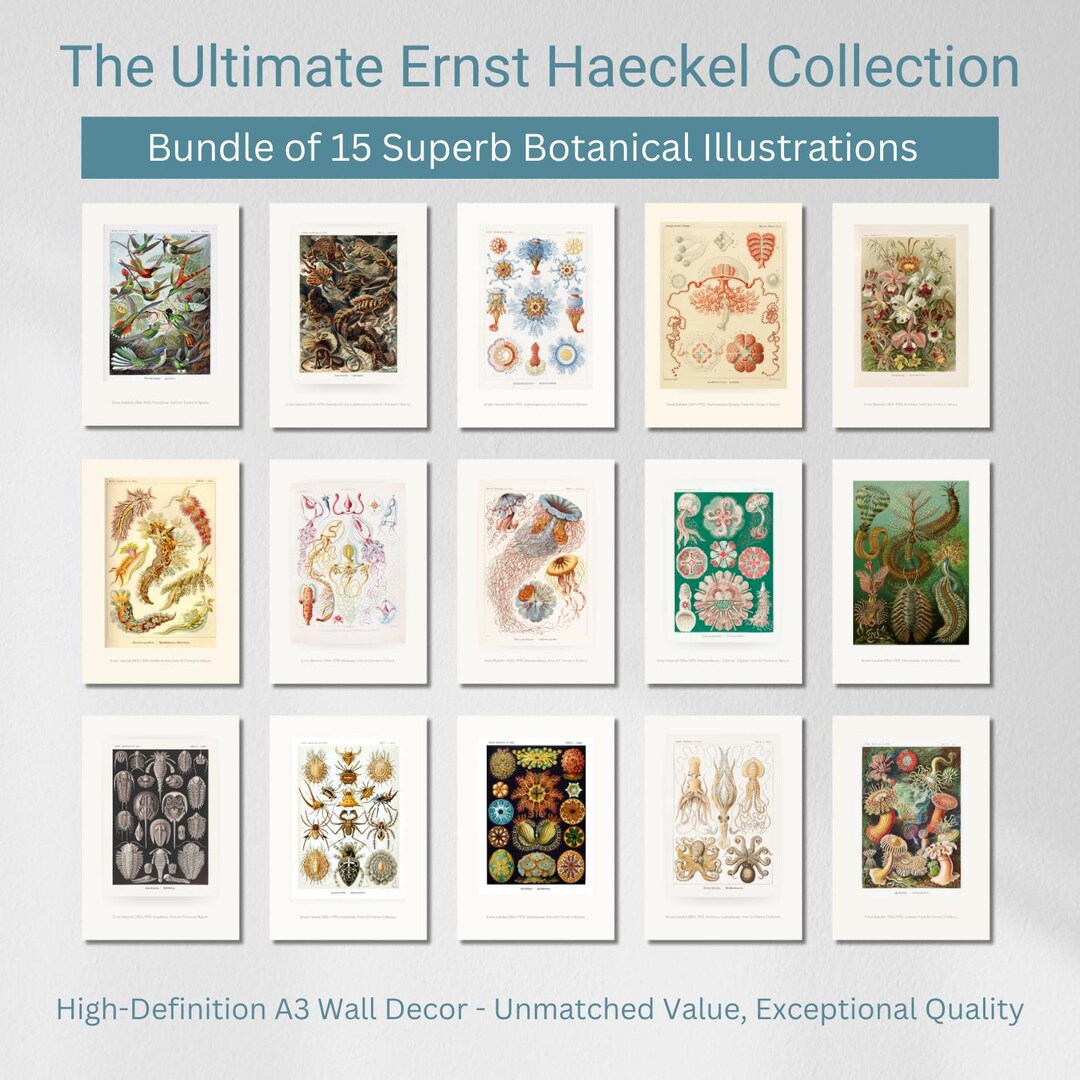Ernst Haeckel Collection of 15 High-resolution Vintage Botanical Wall ...