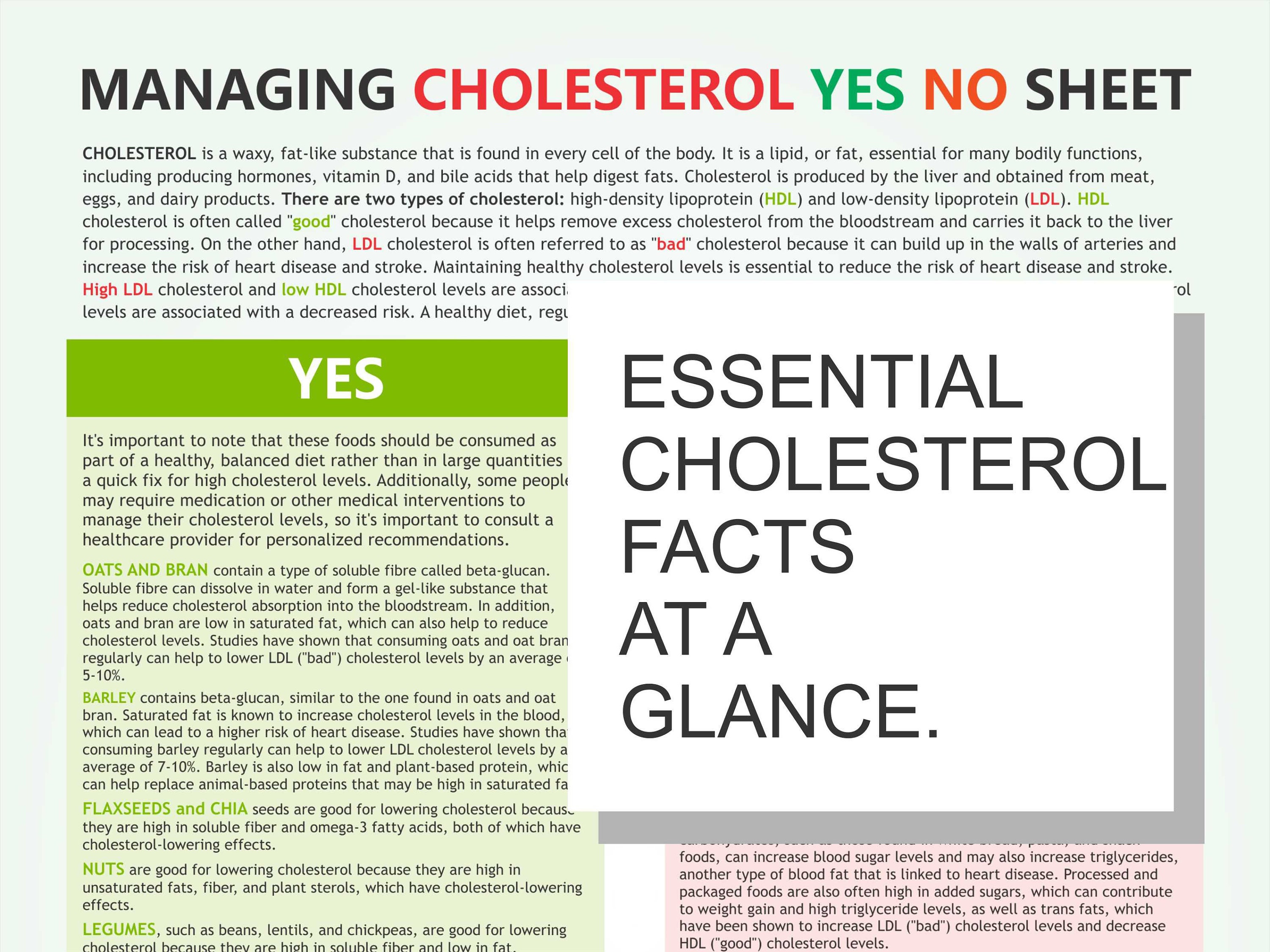 Managing Cholesterol Yes and No Sheet, Digital Download, Cholesterol ...