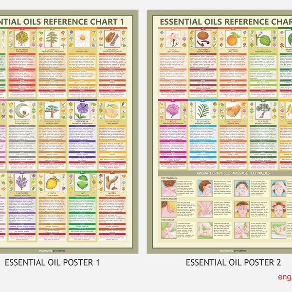 Aromatherapy Chart - Etsy