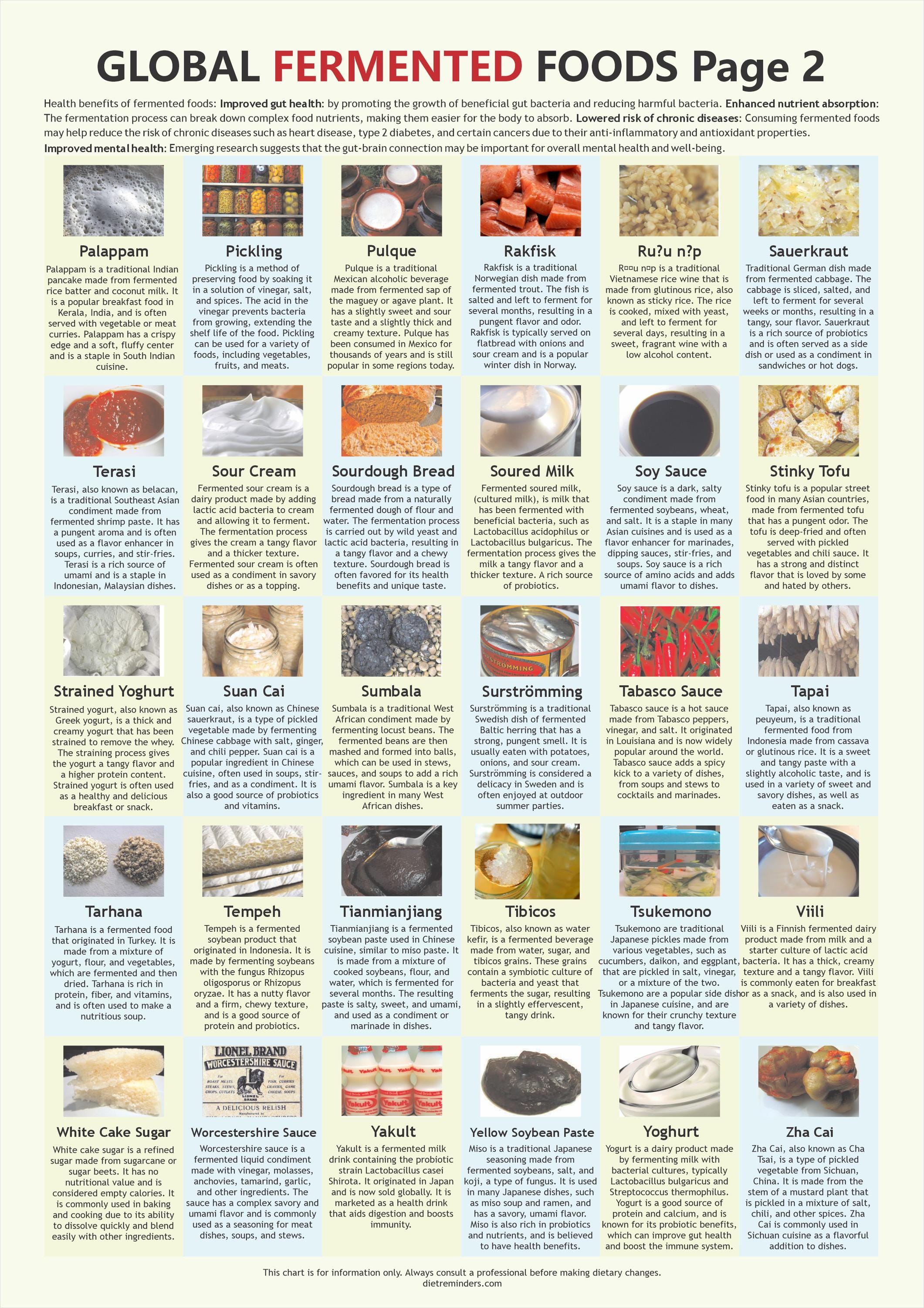 Fermented Foods Chart, Digital Download PDF, Global Fermentation, Food ...