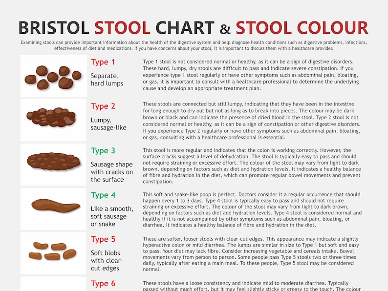Bristol Stool Chart, Digital Download PDF, Stool Health, Healthy Poop ...