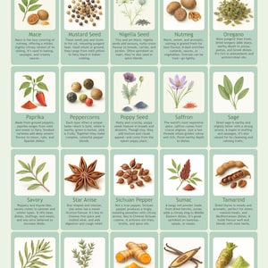 Herbs & Spices Kitchen Chart Set: Illustrated Cooking Guide (digital ...