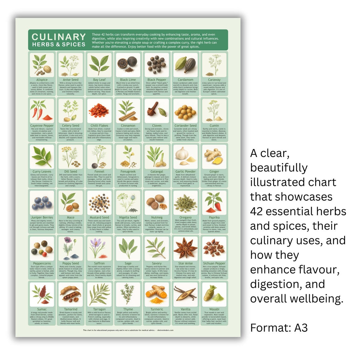 Culinary Herbs & Spices Chart: Illustrated Kitchen Decor (A3 Digital ...