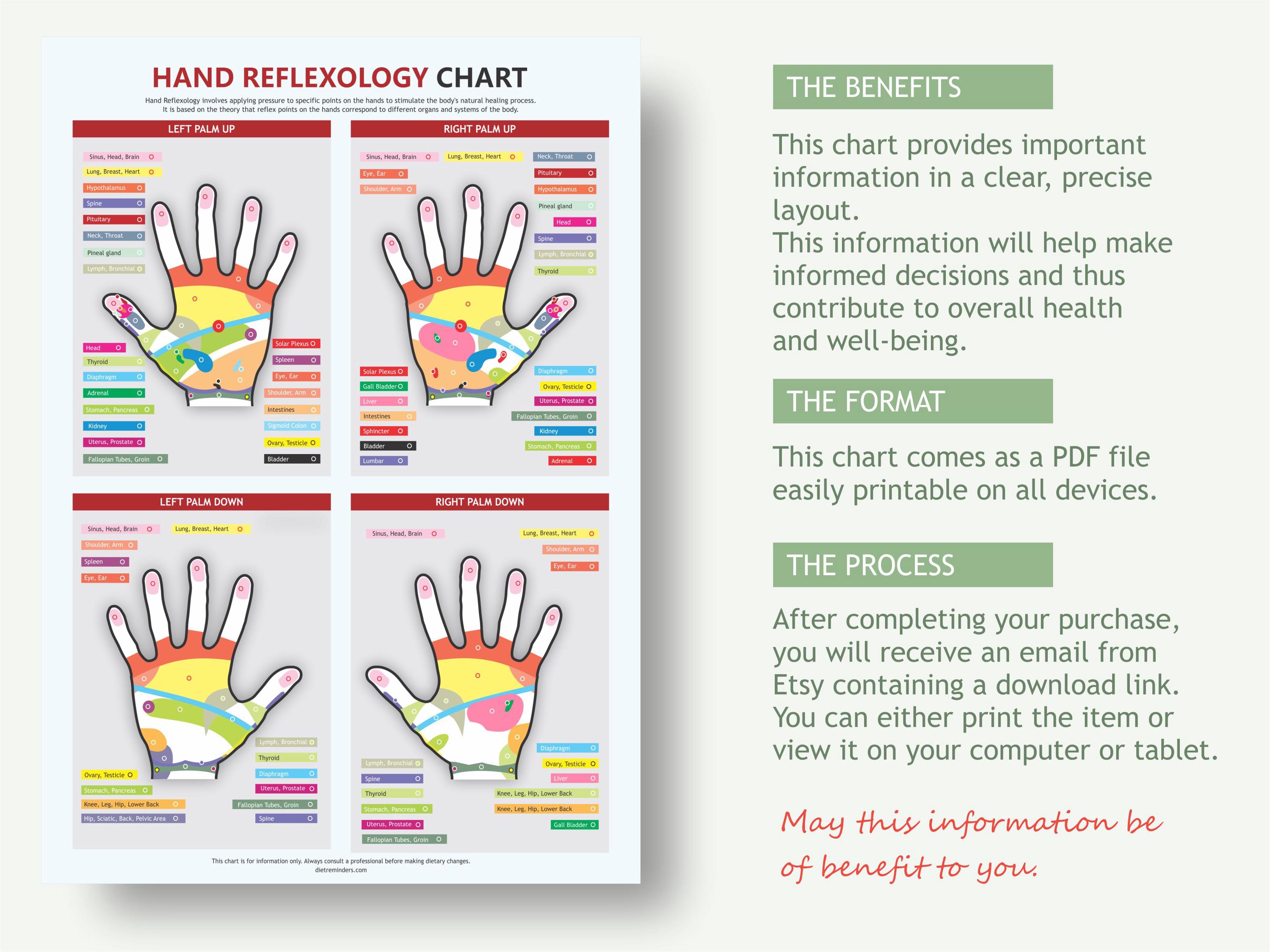 Hand Reflexology Chart: Pressure Points Guide, Wellness Map (PDF ...