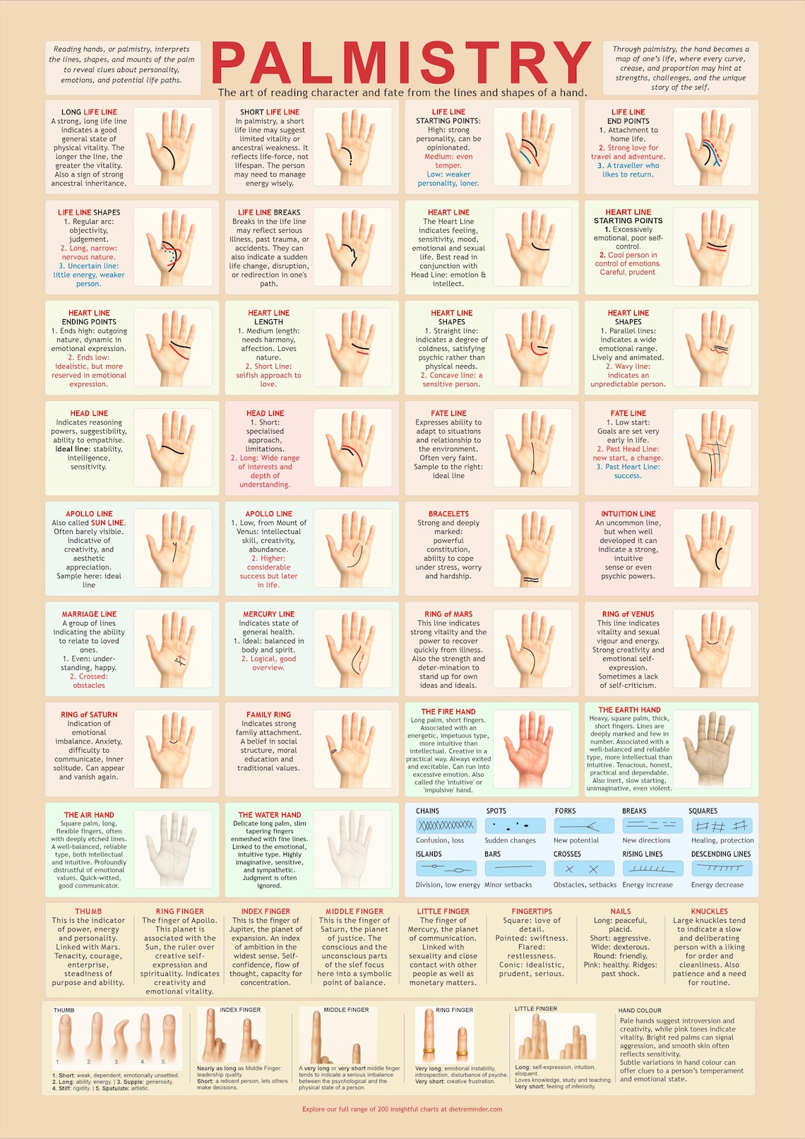 Palmistry Chart: Hand Reading Guide - Lines, Shapes, Mounts (digital ...