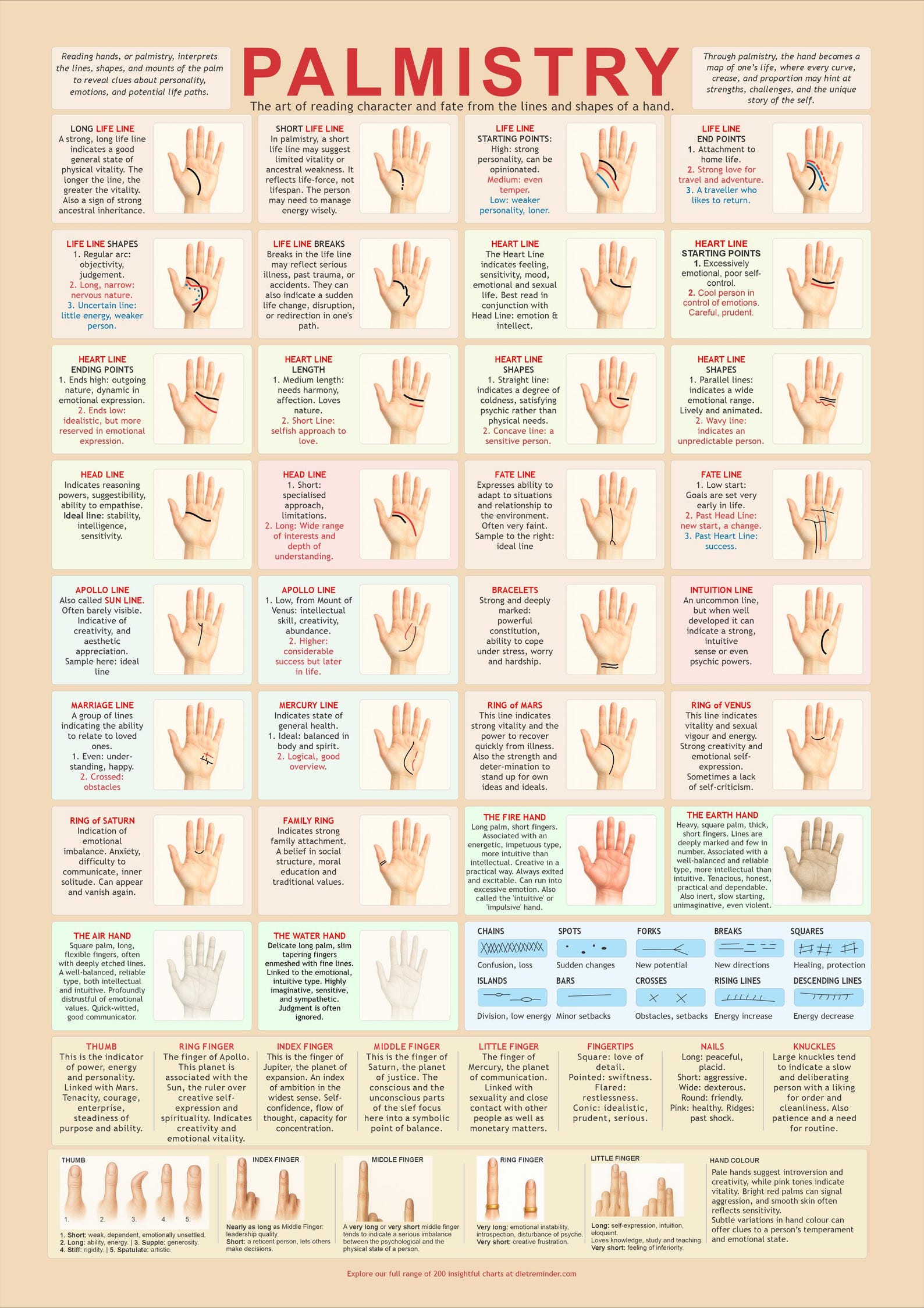 Palmistry Chart: Hand Reading Guide - Lines, Shapes, Mounts (digital ...