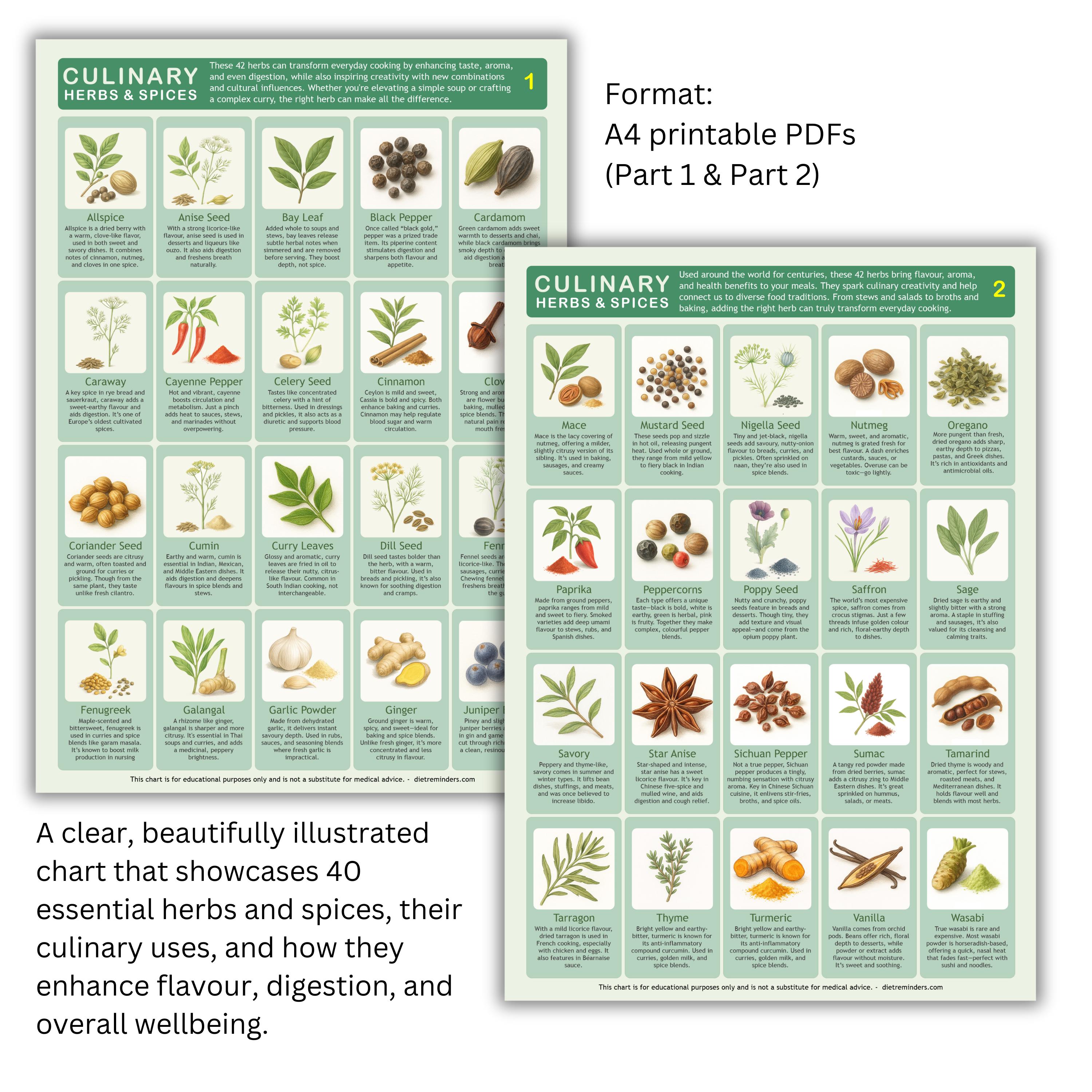 Herbs & Spices Kitchen Chart Set: Illustrated Cooking Guide (digital ...