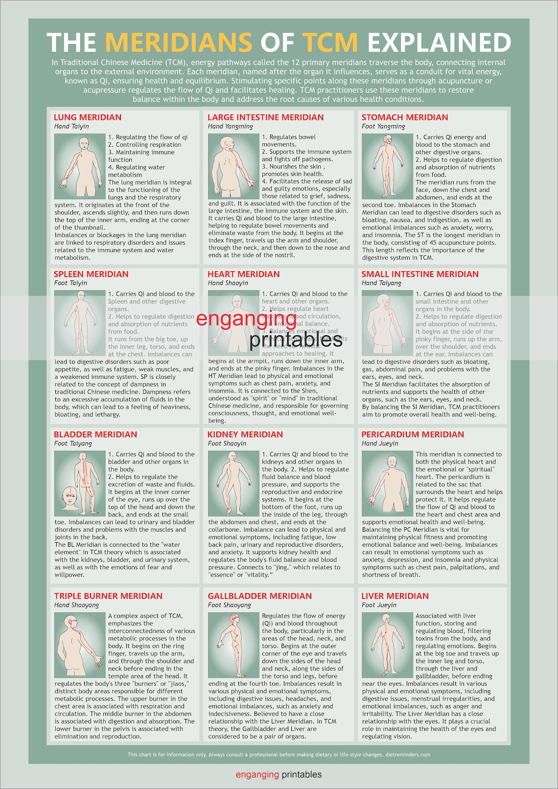 TCM Meridians Poster A3, Digital Download PDF, Chinese Medicine ...