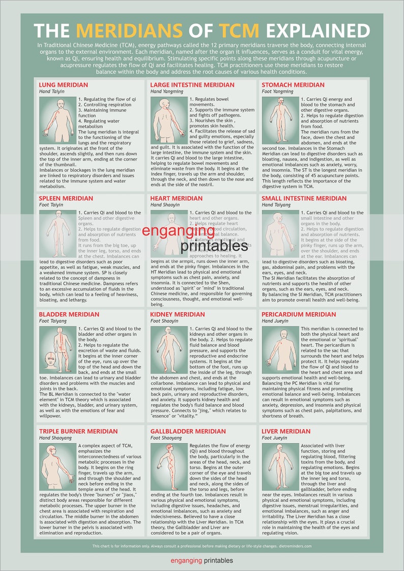 TCM Meridians Poster A3, Digital Download PDF, Chinese Medicine ...
