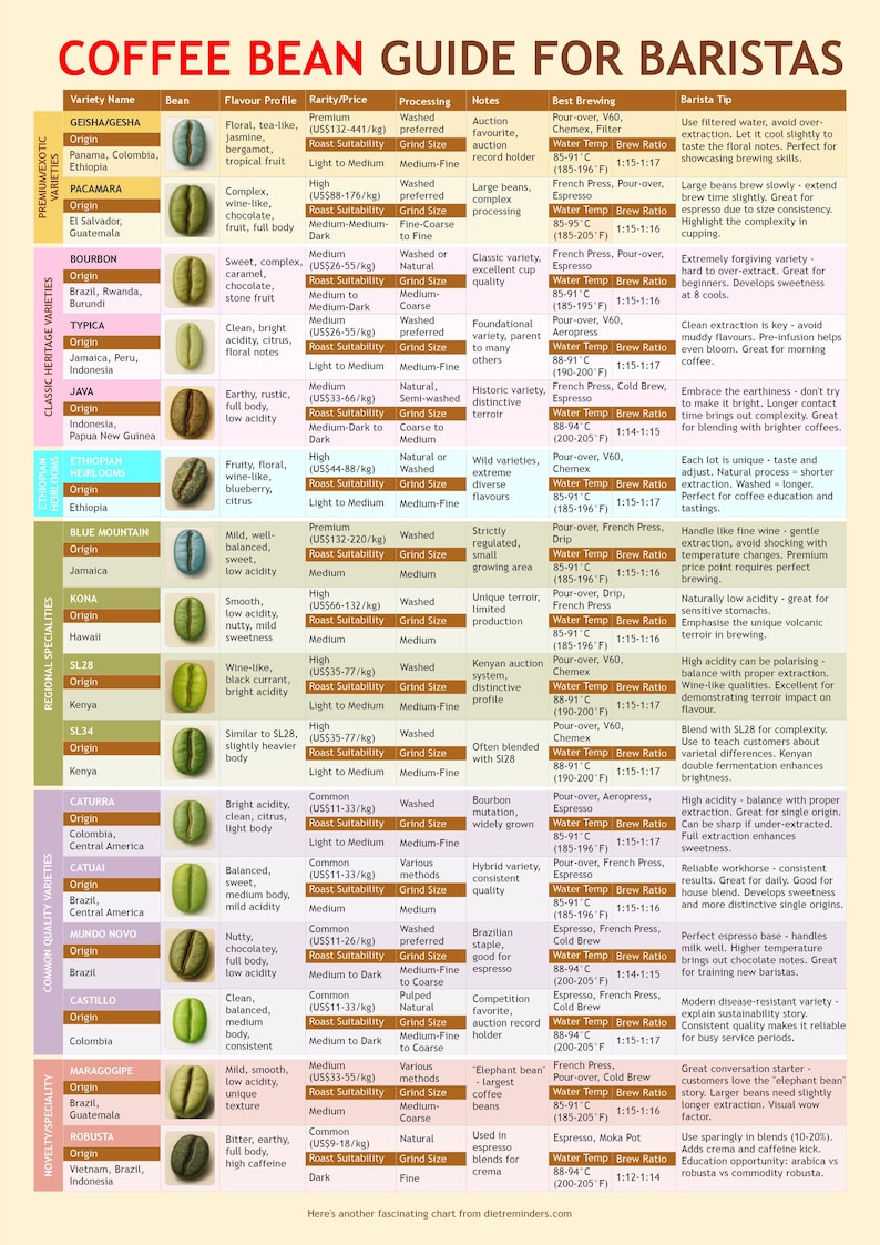 Coffee Bean Varieties Chart: Barista Brewing Guide (PDF Printable A3 ...