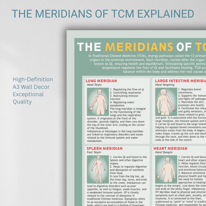 TCM Meridians Poster A3, Digital Download PDF, Chinese Medicine ...