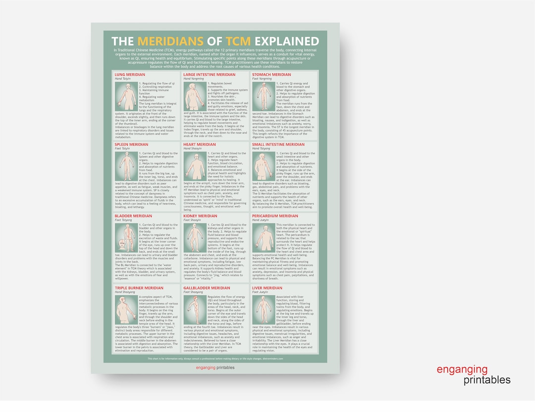 TCM Meridiane Poster A3, digitaler Download PDF, chinesische Medizin ...
