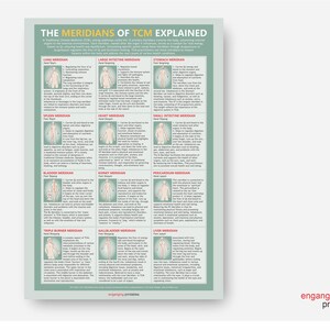 TCM Meridians Poster A3, Digital Download PDF, Chinese Medicine ...