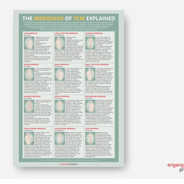 Meridian Poster - Etsy