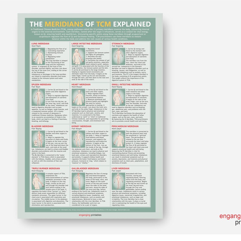 Meridian Poster - Etsy