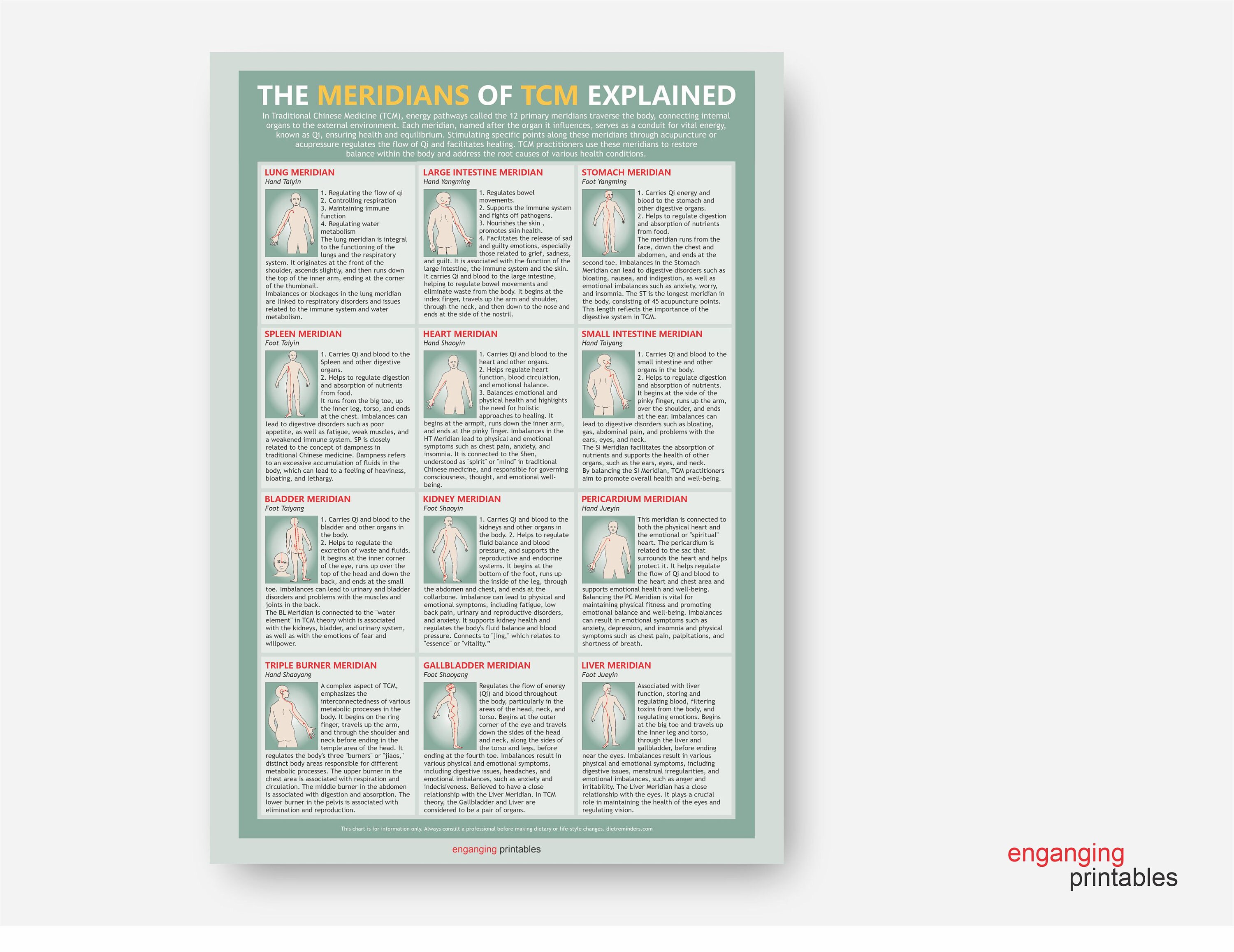 TCM Meridians Poster A3, Digital Download PDF, Chinese Medicine ...