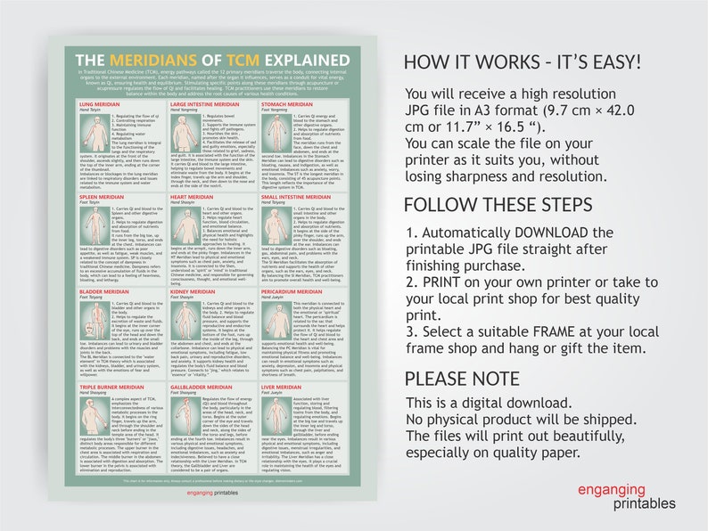 TCM Meridians Poster A3, Digital Download PDF, Chinese Medicine ...