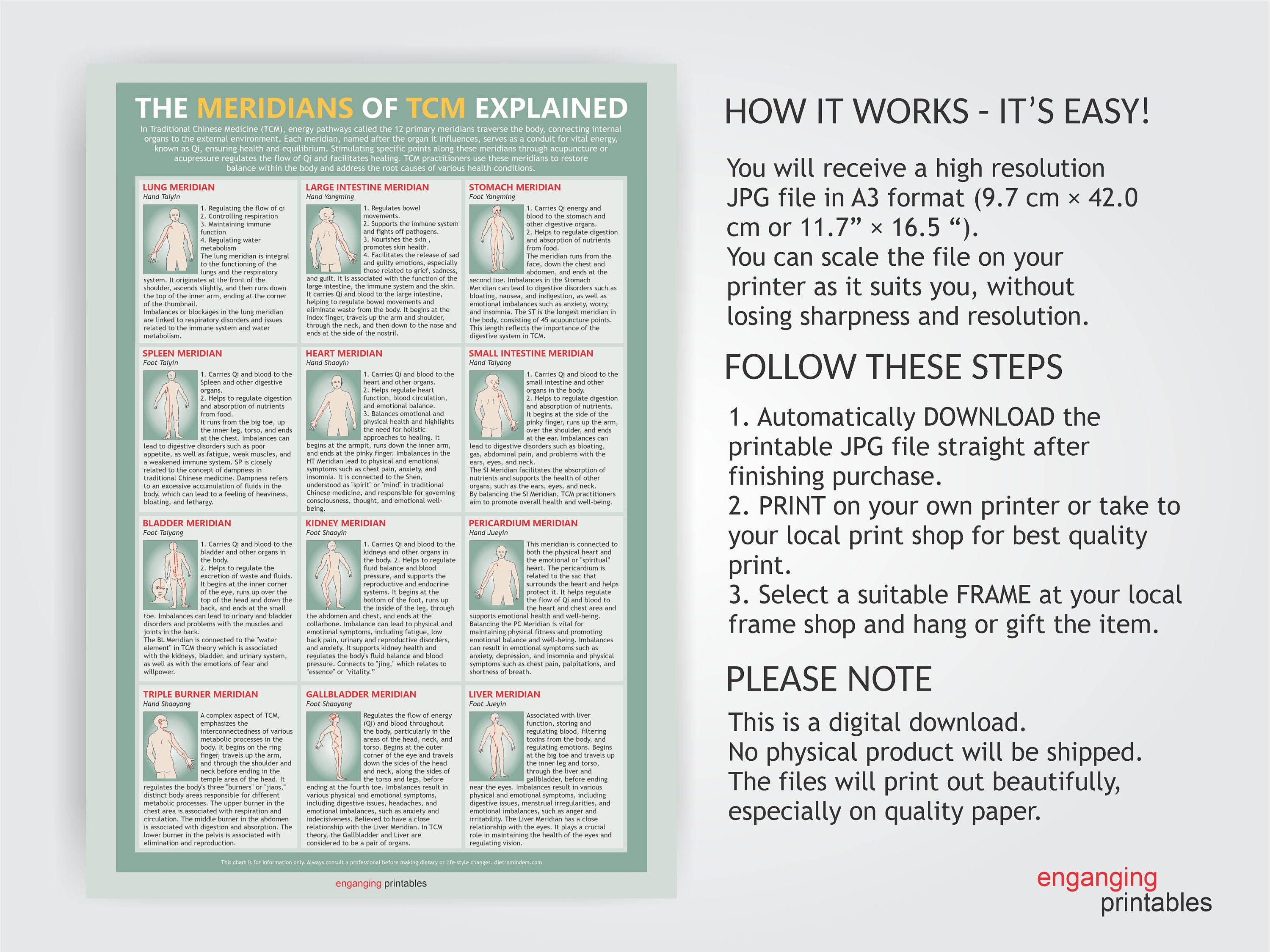 TCM Meridians Poster A3, Digital Download PDF, Chinese Medicine ...