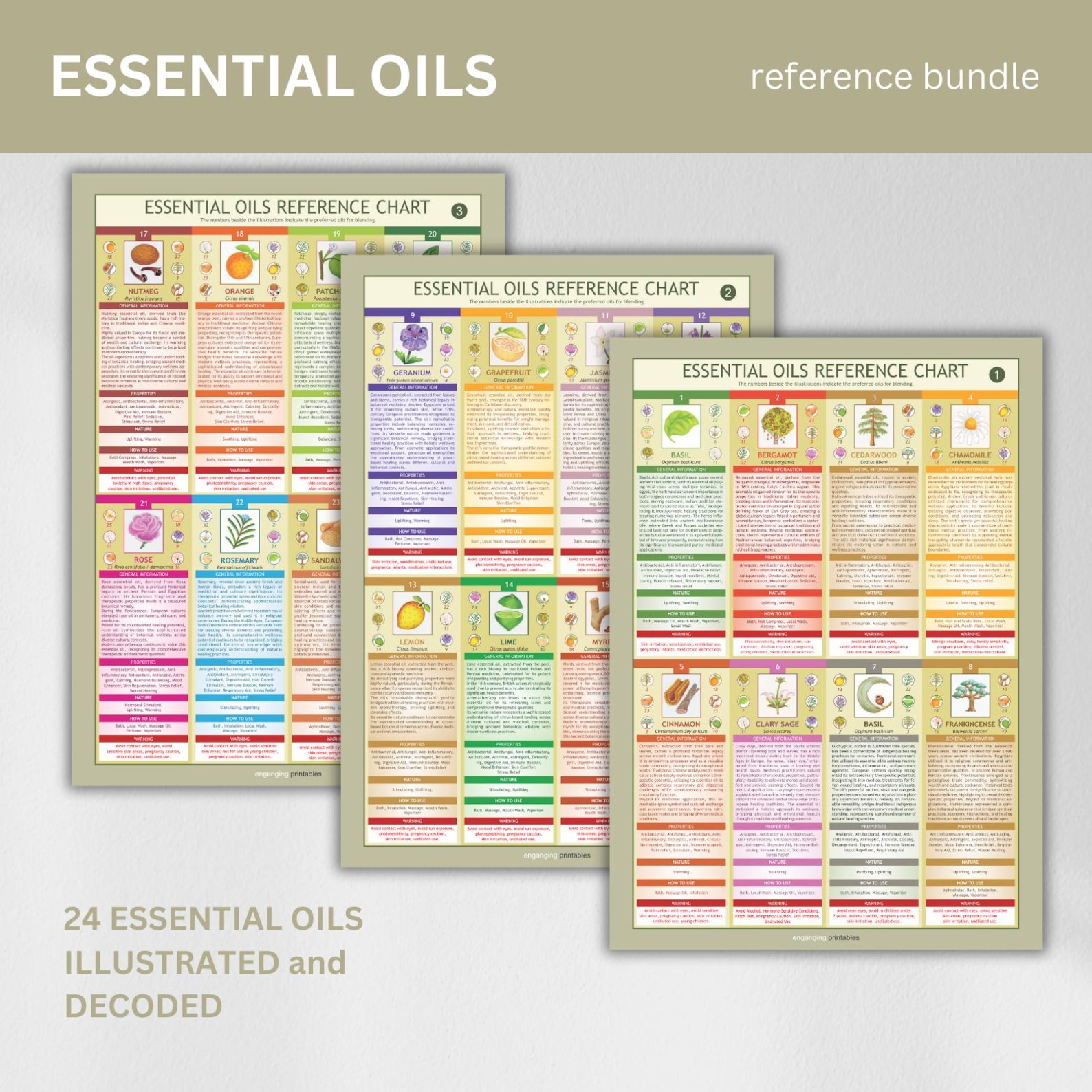 Essential Oils Reference Chart Bundle: Aromatherapy Guide (digital ...