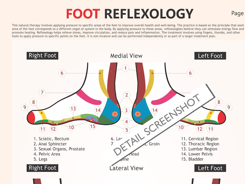 Foot Reflexology Chart, Digital Download PDF, Reflexology Chart ...