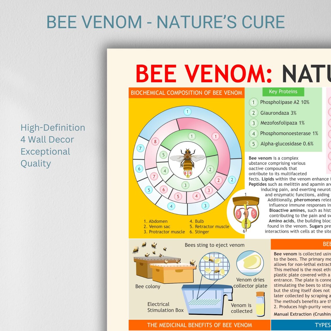 Bee Venom Information Chart: Chemistry, Uses, Concentration (A4 Digital ...