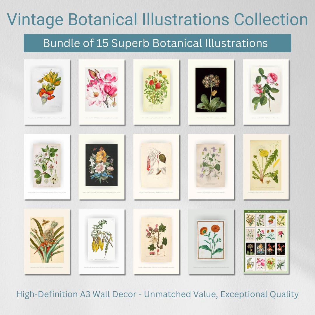 Vintage Botanical Illustration Prints: 15 High-resolution A3 Art ...