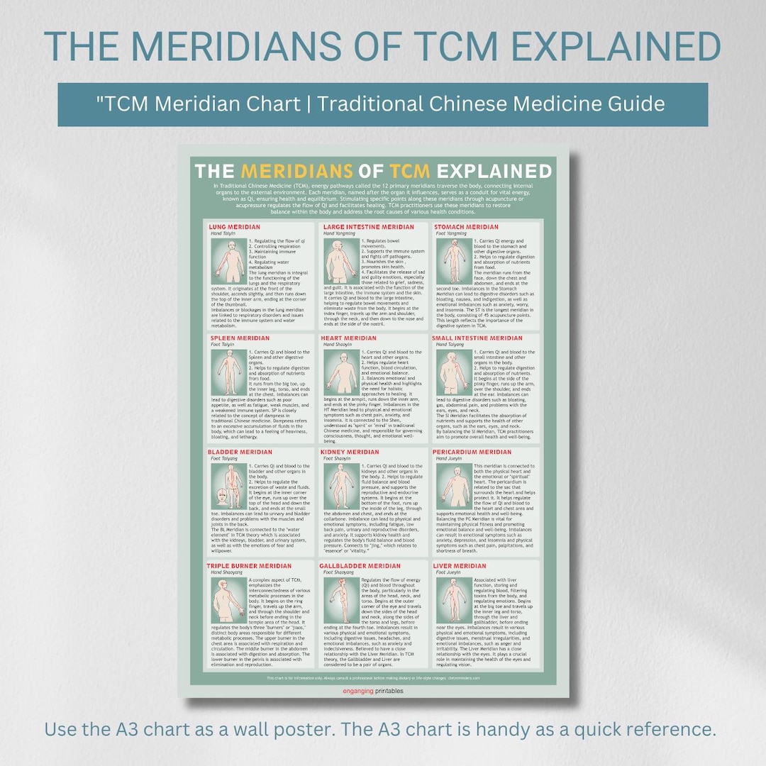 TCM Meridians Poster A3, Digital Download PDF, Chinese Medicine ...