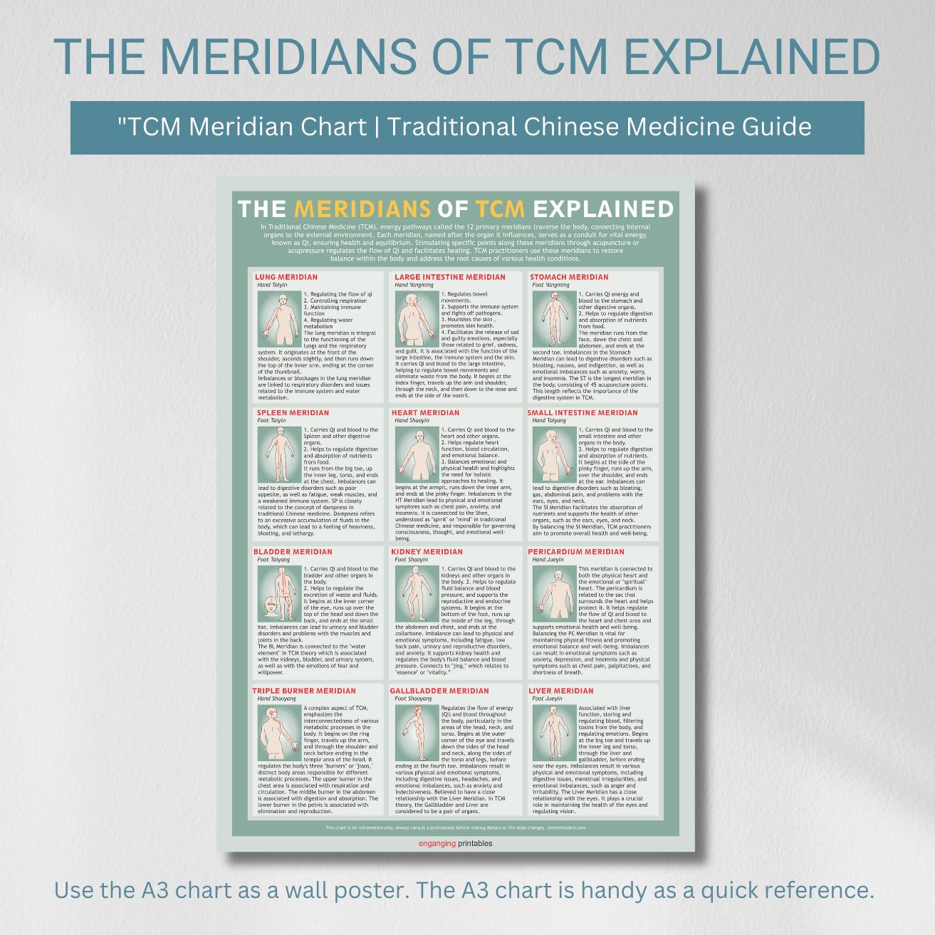 TCM Meridians A3 Poster: Chinese Medicine Chart (digital Download ...