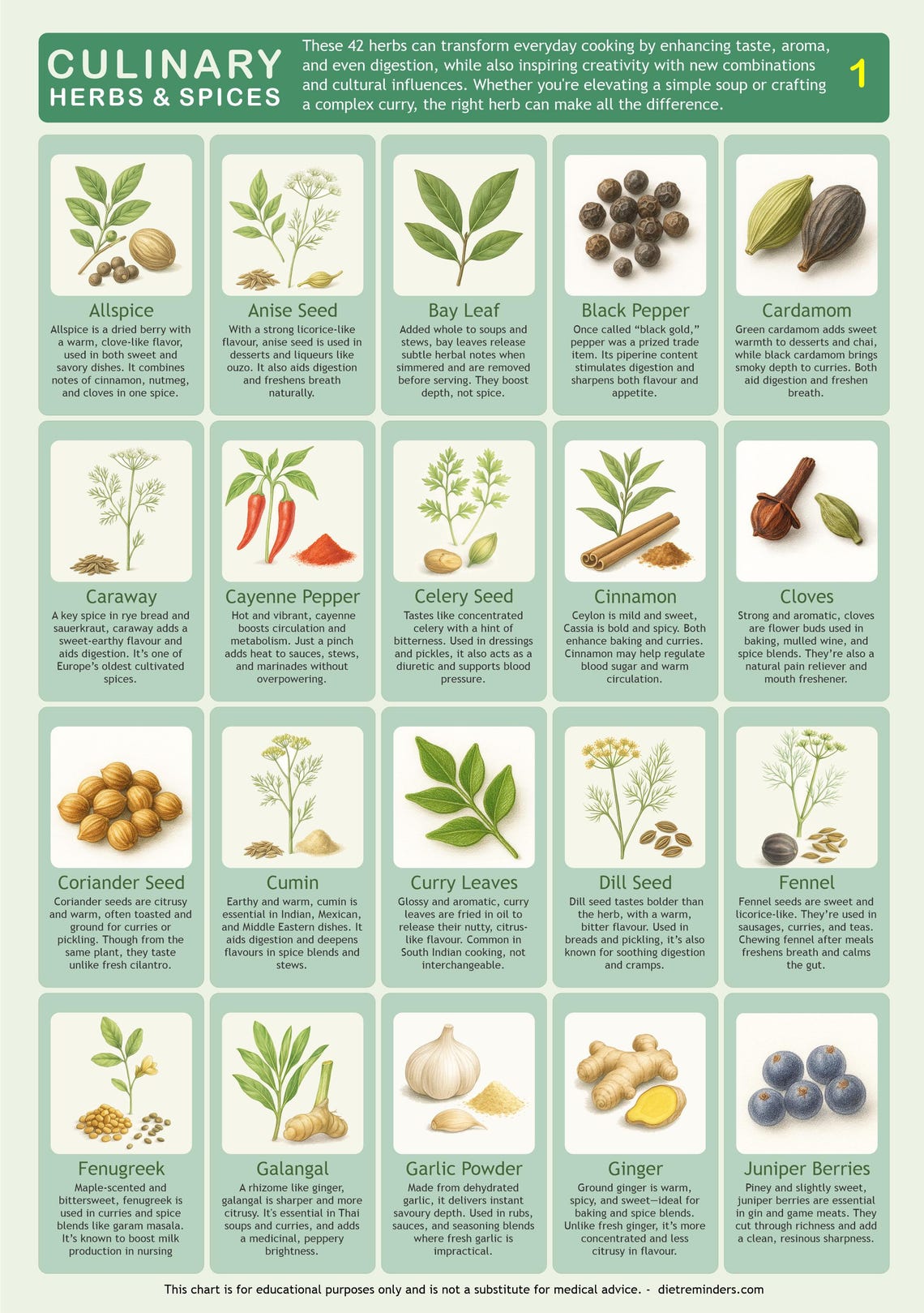 Herbs & Spices Kitchen Chart Set: Illustrated Cooking Guide (digital ...