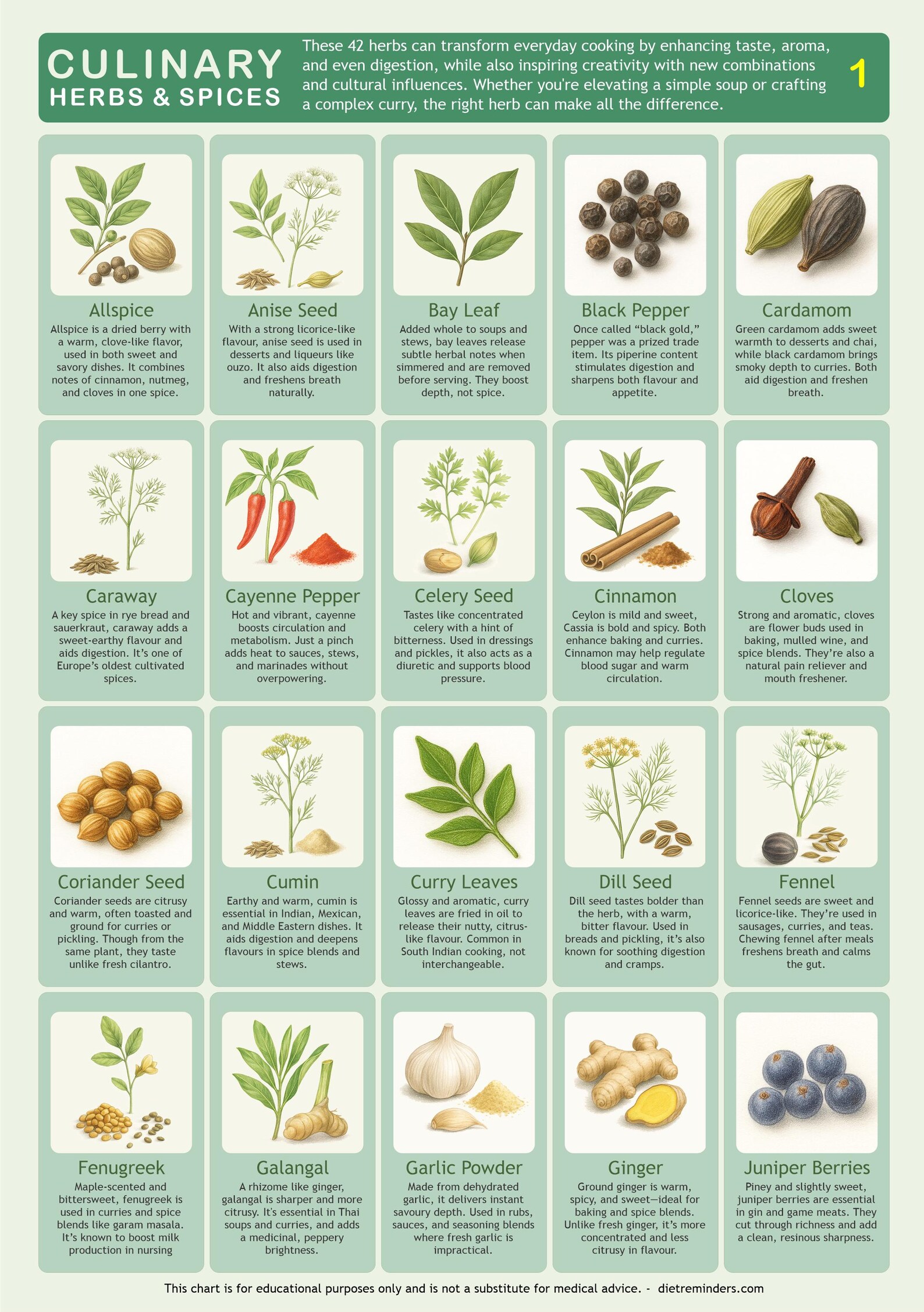 Herbs & Spices Kitchen Chart Set: Illustrated Cooking Guide (digital ...
