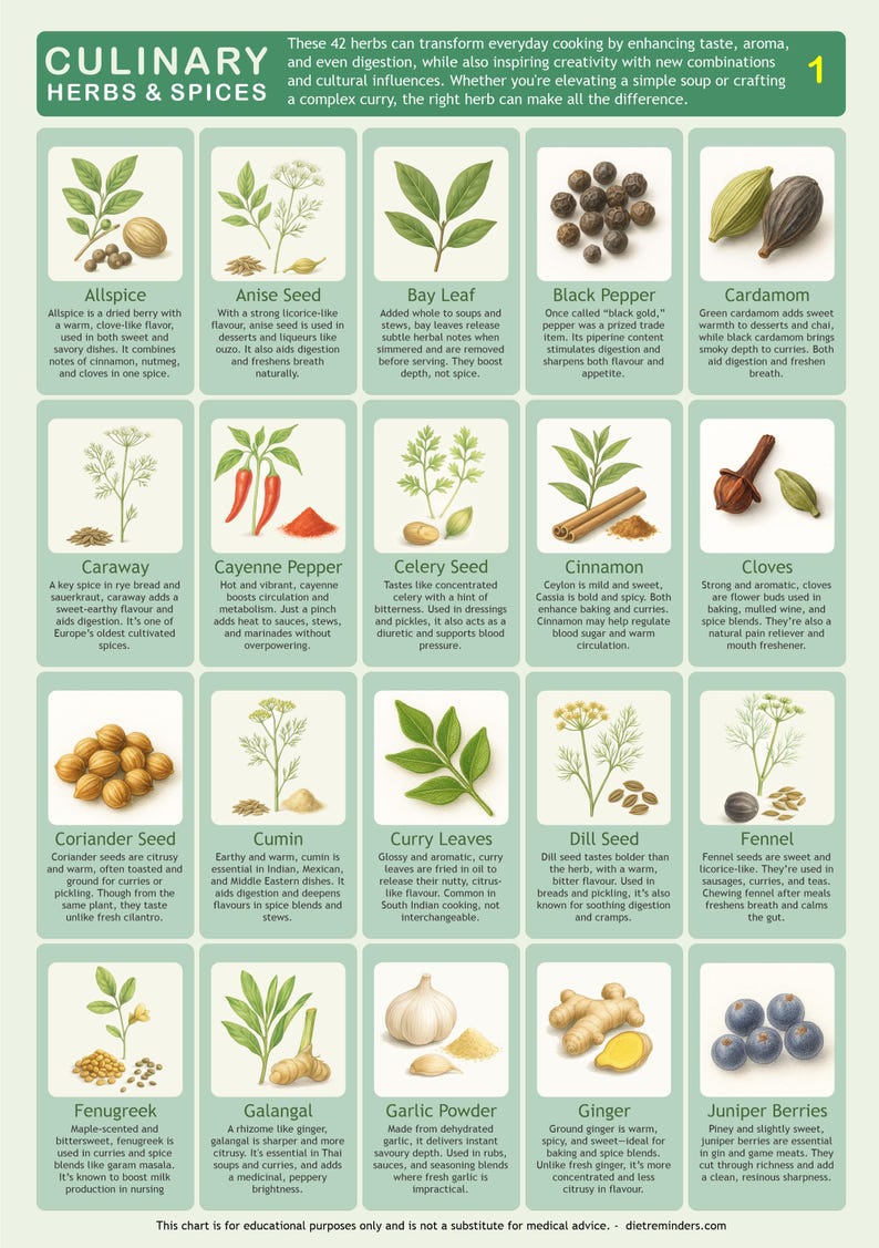Herbs & Spices Kitchen Chart Set: Illustrated Cooking Guide (digital ...