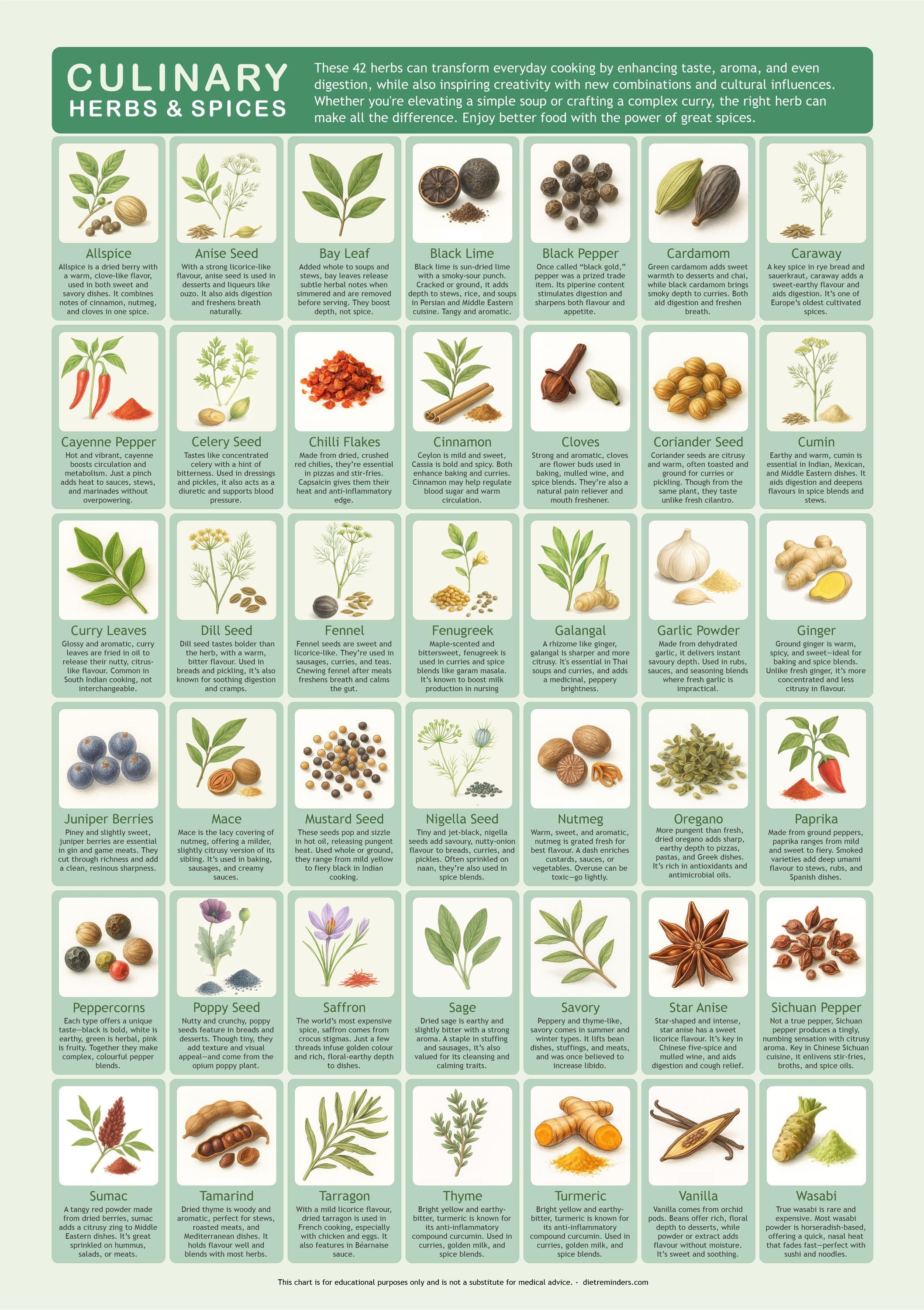 Culinary Herbs & Spices Chart: Illustrated Kitchen Decor (A3 Digital ...