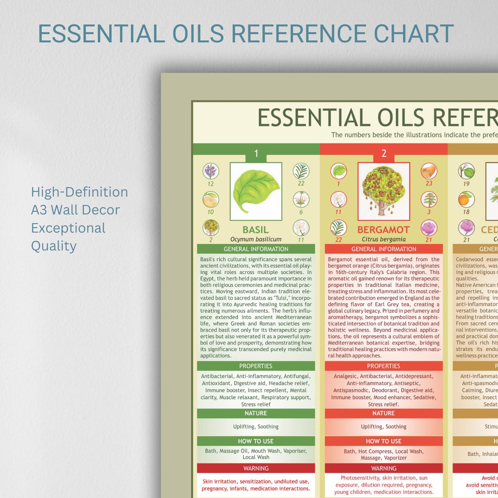 Essential Oils Reference Chart Bundle: Aromatherapy Guide (digital ...