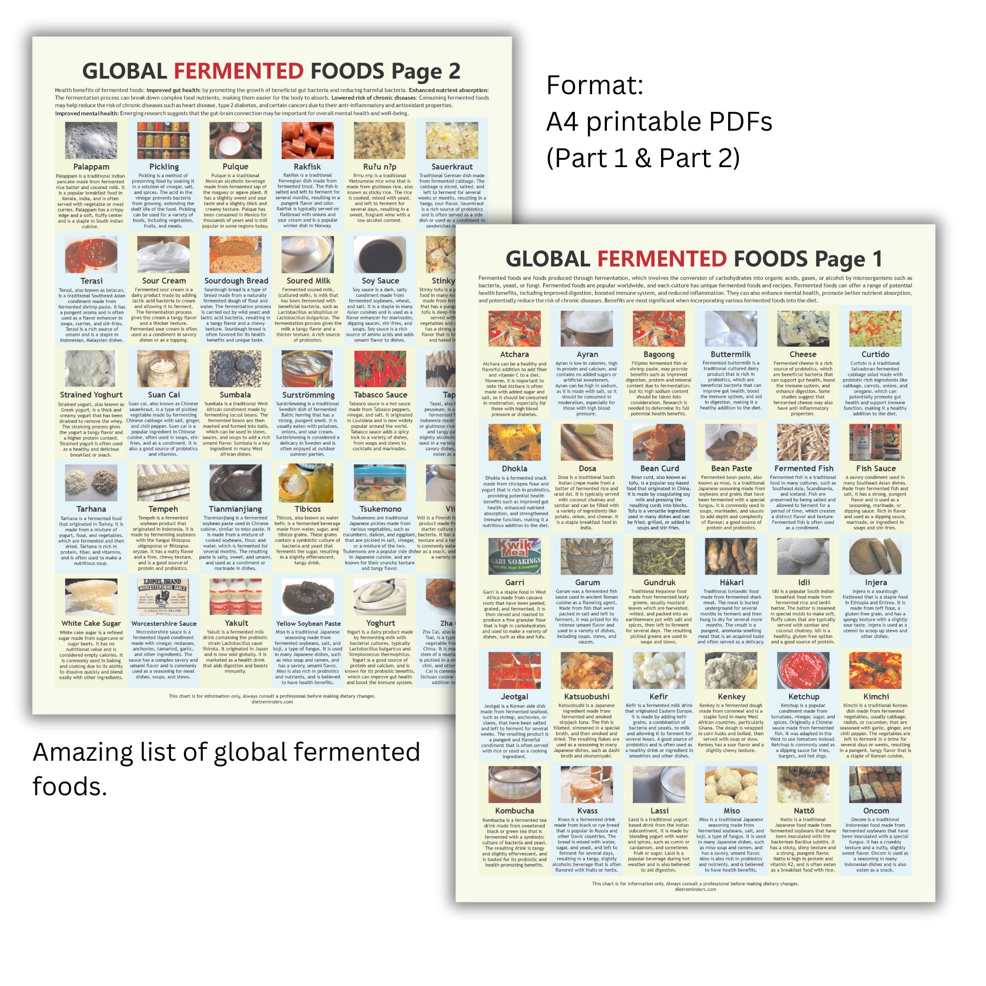 Fermented Foods Chart, Digital Download PDF, Global Fermentation, Food ...
