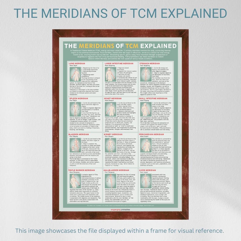 TCM Meridians Poster A3, Digital Download PDF, Chinese Medicine ...