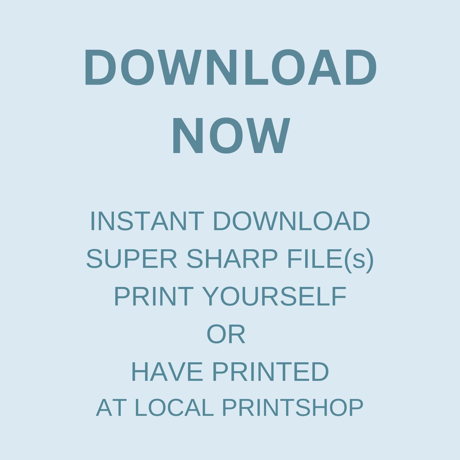 US Presidents Chart: 47 Presidents With Details (A3 PDF) - Etsy