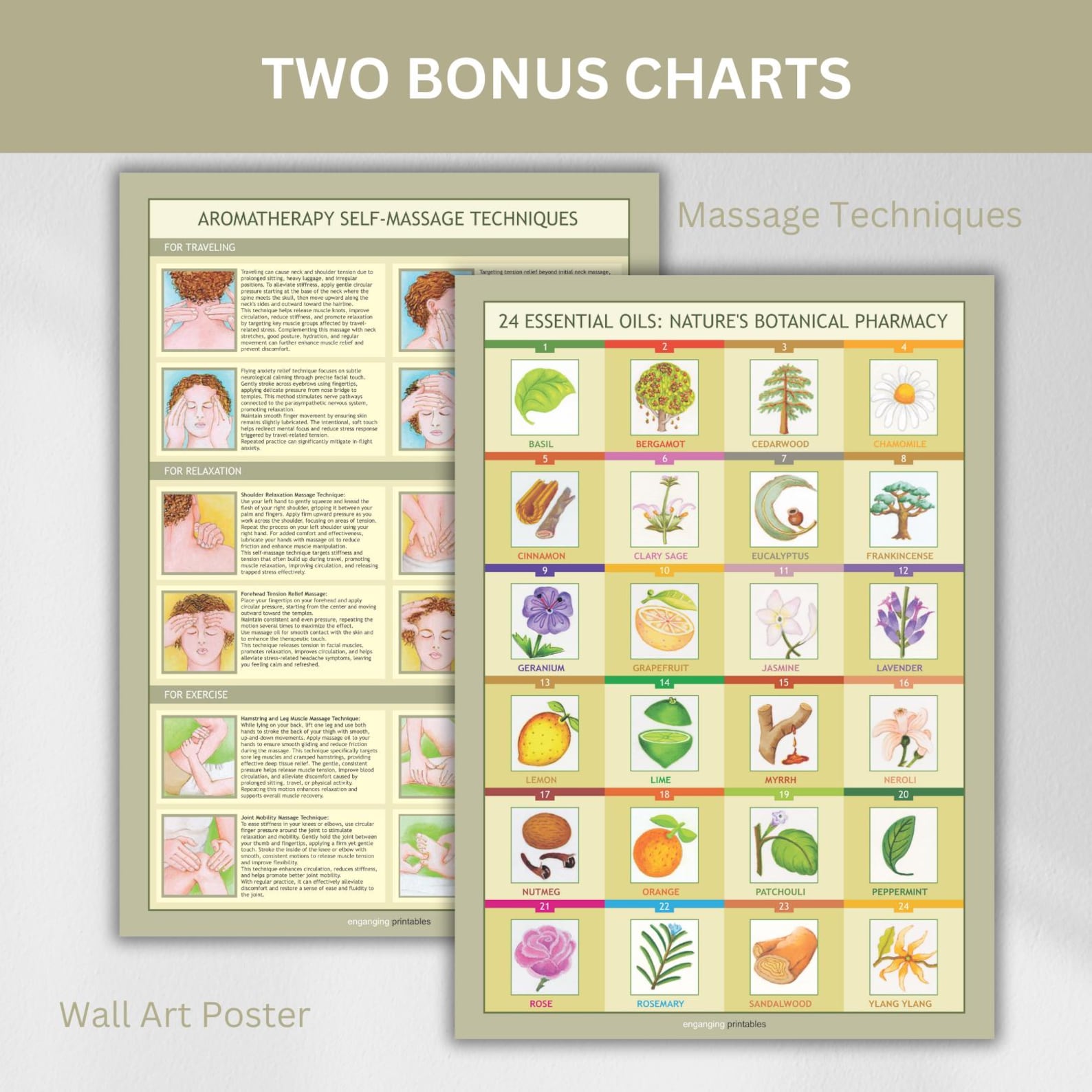 Essential Oils Reference Chart Bundle: Aromatherapy Guide (digital ...