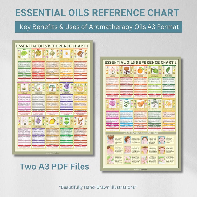 Essential Oils - Etsy