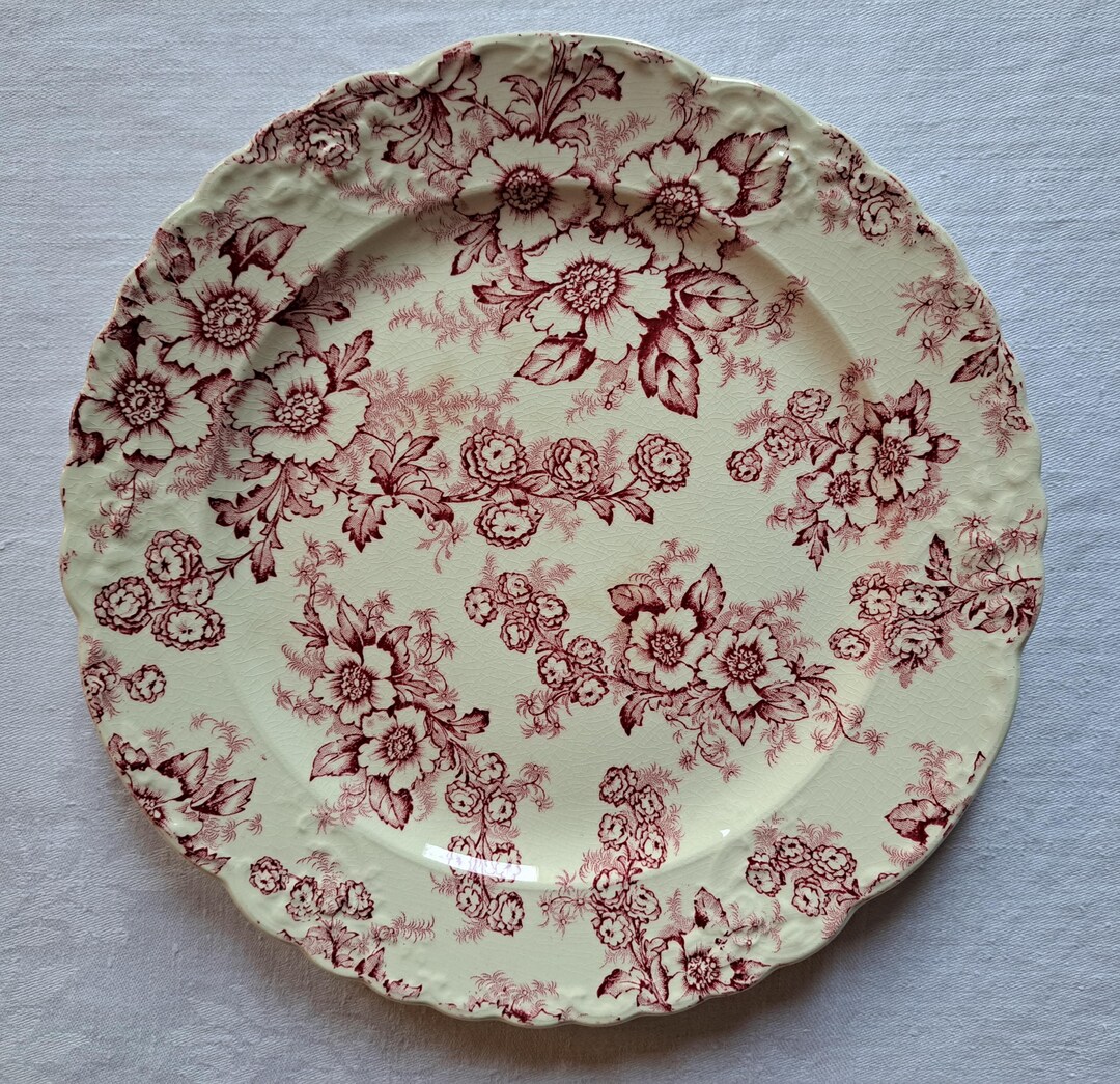 Vintage Taylor Smith Taylor Raspberry Dogwood 9.25" Luncheon Plates-set ...