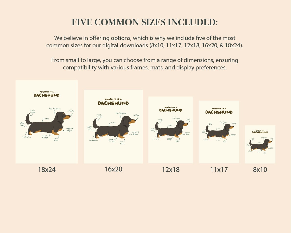 Dachshund Art Dachshund Print Dachshund Gift Sausage Dog - Etsy