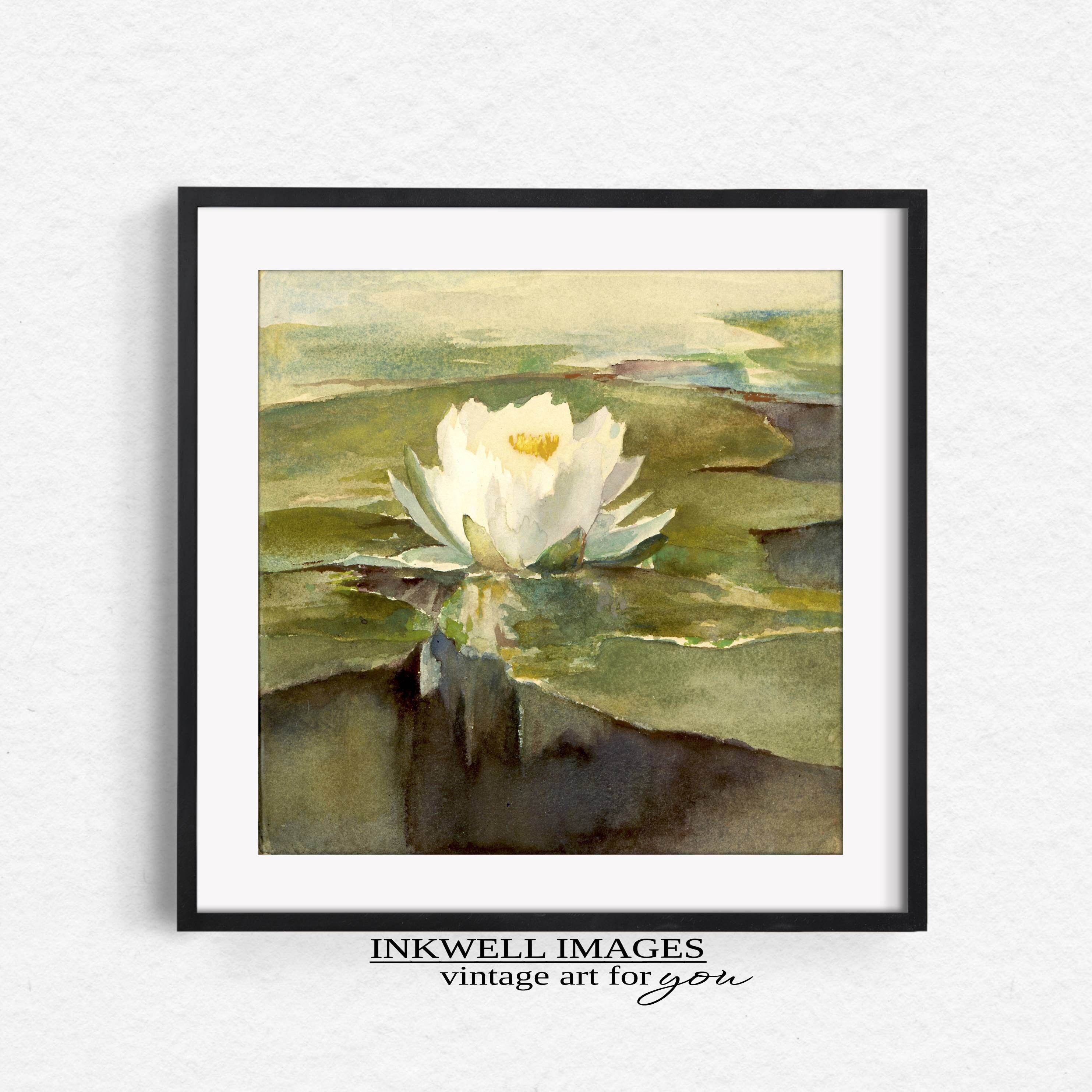 Vintage Flower Still Life square Print Water Lily in - Etsy