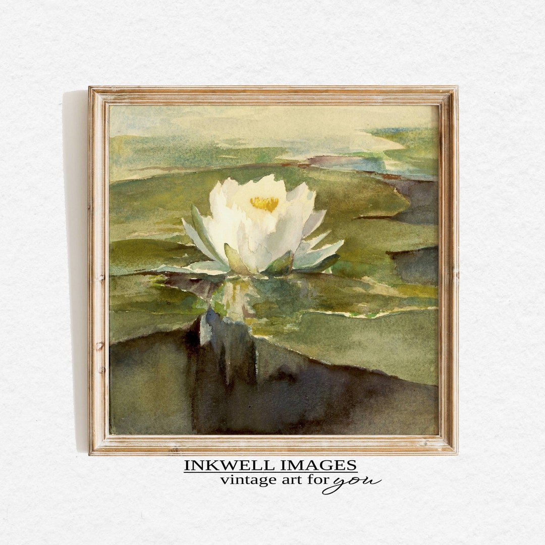 Vintage Flower Still Life square Print Water Lily in Sunlight Vintage ...