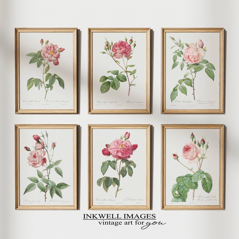 Botanical Rose Print - Etsy