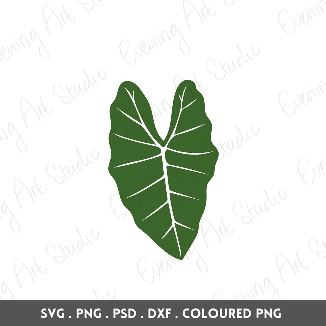 Elephant Ear Leaf Clipart, Vector Cut Files, SVG Cut File, Elephant Ear ...