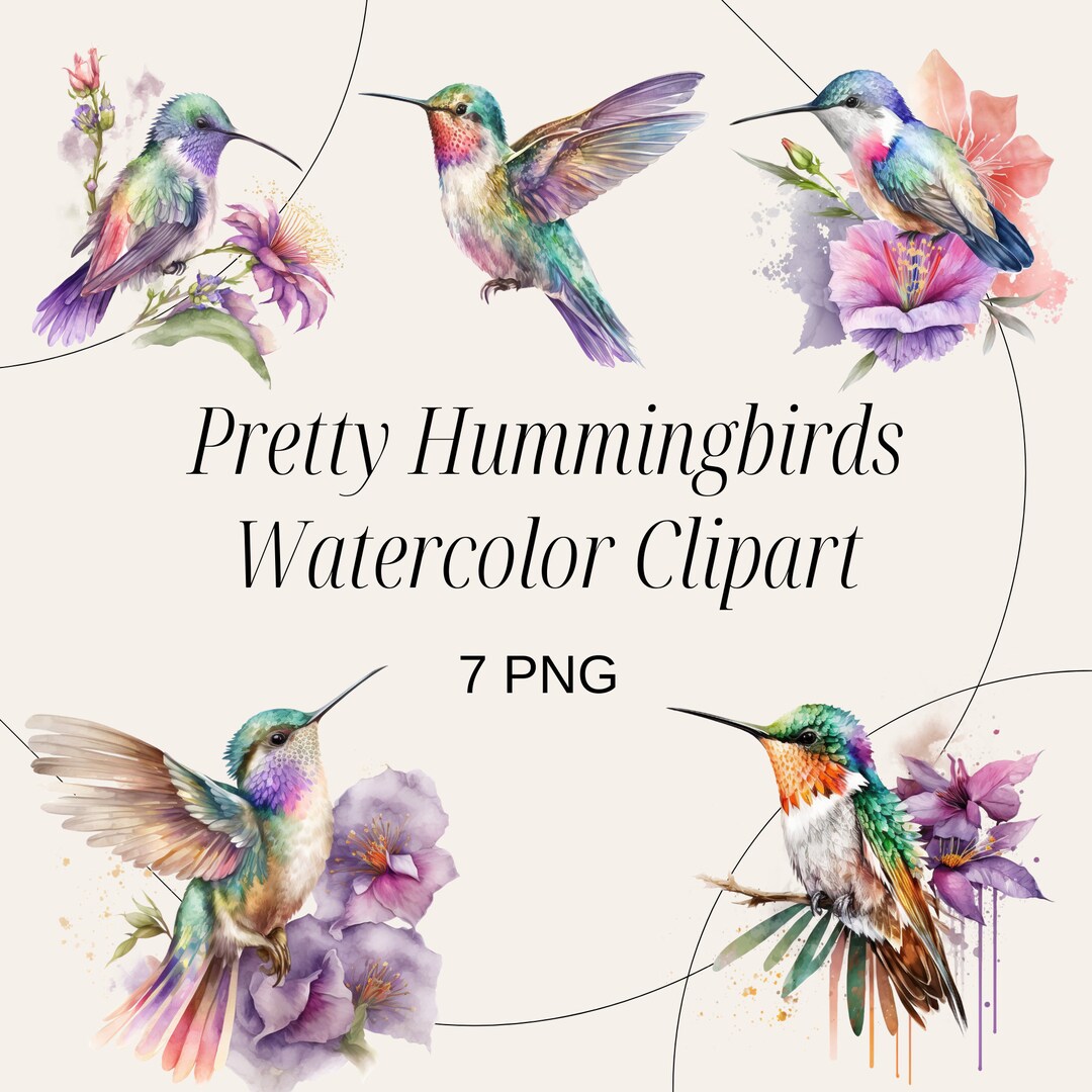 Pretty Hummingbird Watercolor Clipart Illustrations, 7 PNG, Digital ...