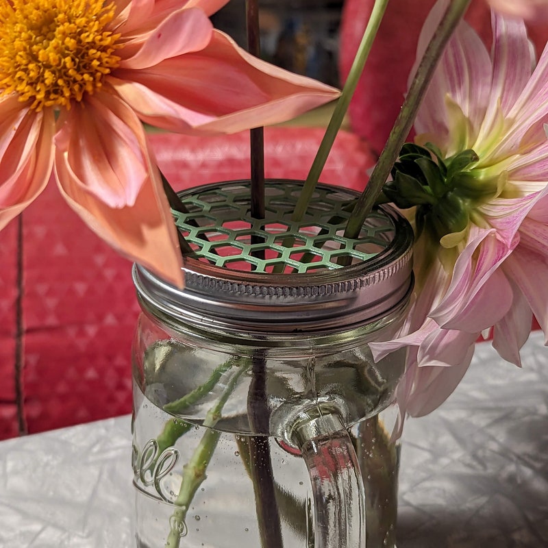 Mason Jar Frog Lid - Etsy