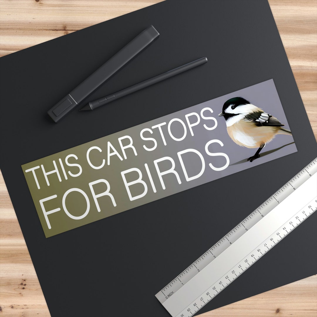This Car Stops for Birds Bumper Stickers - Etsy