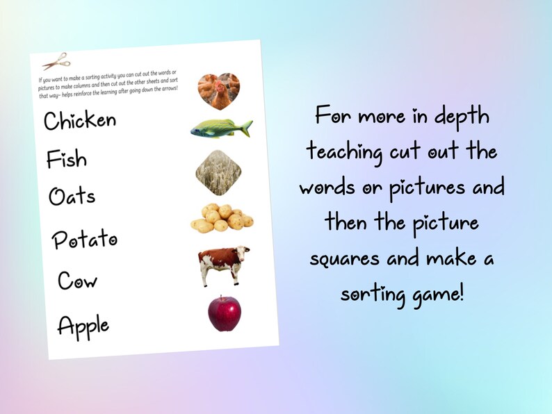 Where Does Food Come From, How Educational Printable Activity, Home ...